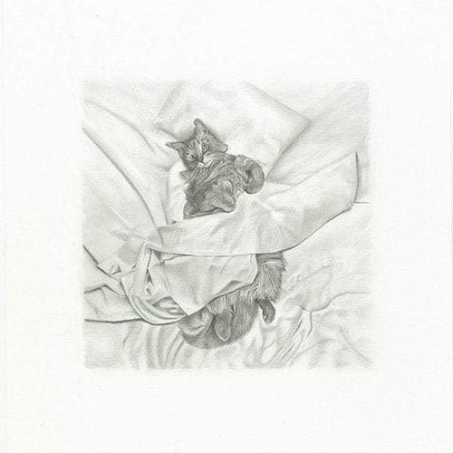 Hank Prints